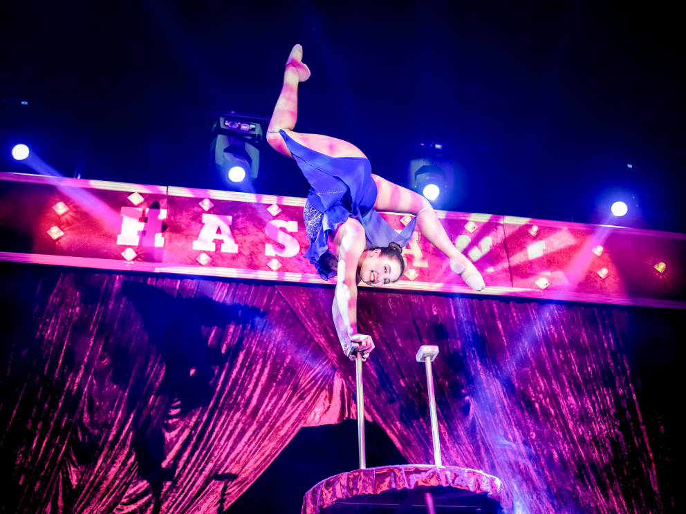 Tulleys Christmas Experience